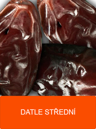 Sušené ovoce a zelenina